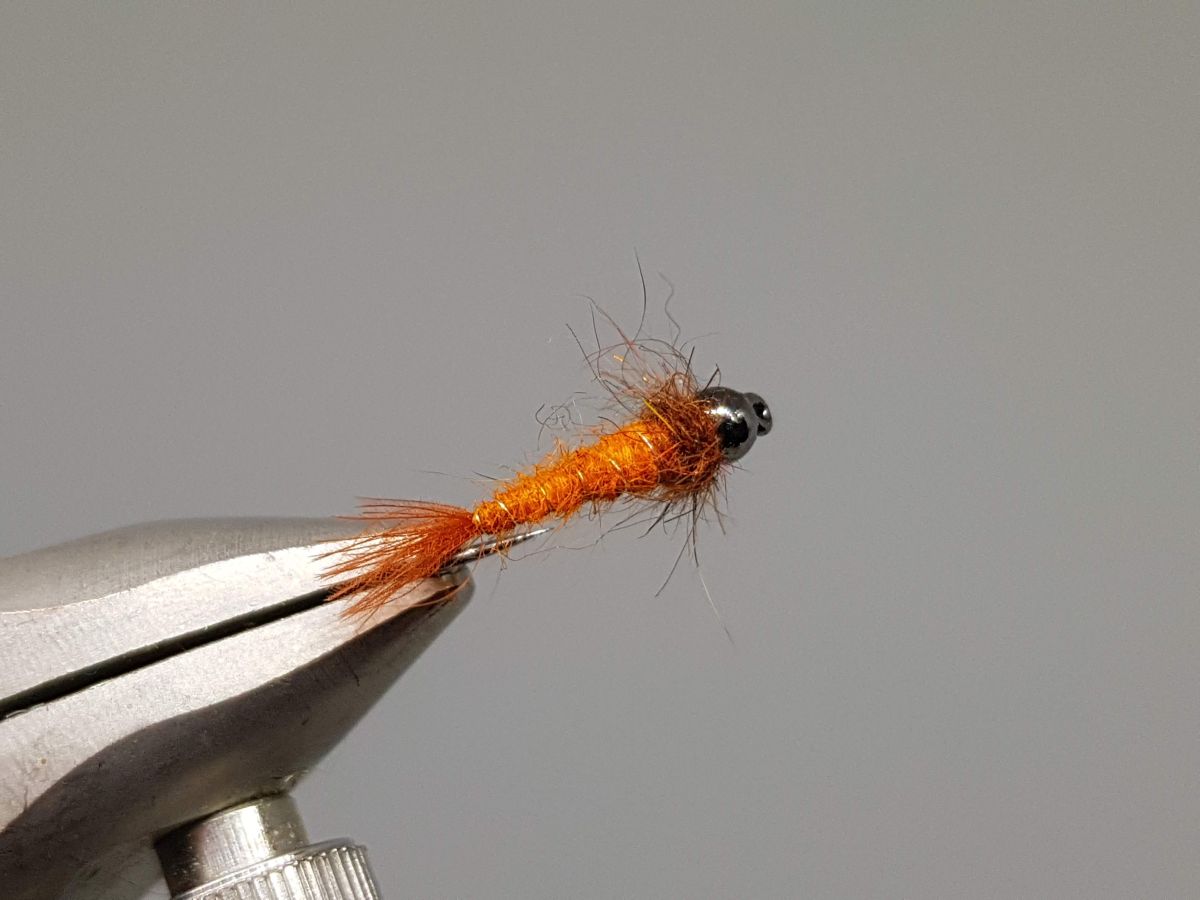Rusty Red Nymph - Towarzystwo Lipieniowej Gorączki